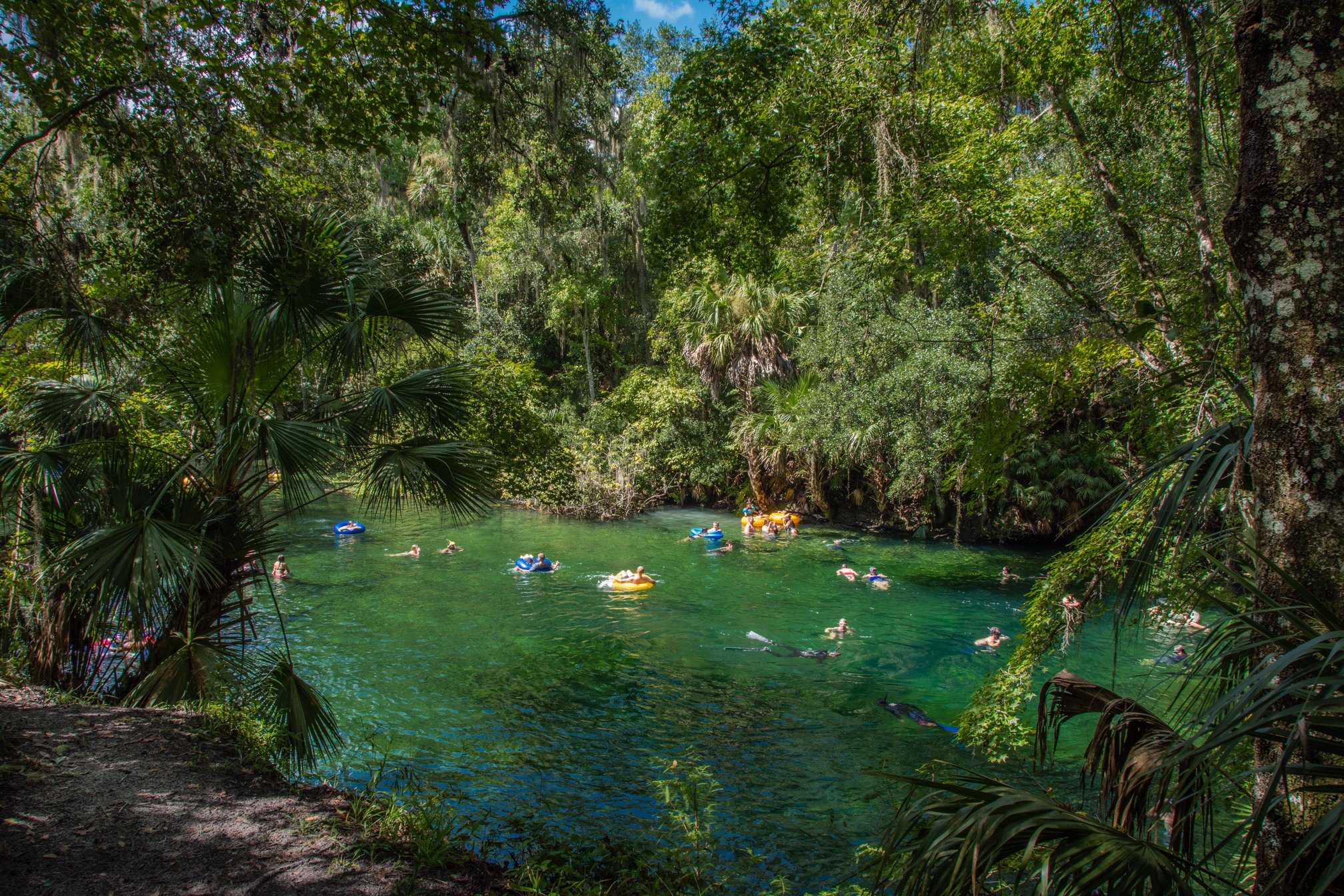 SWIMMING AT BLUE SPRING - Parks Guidance