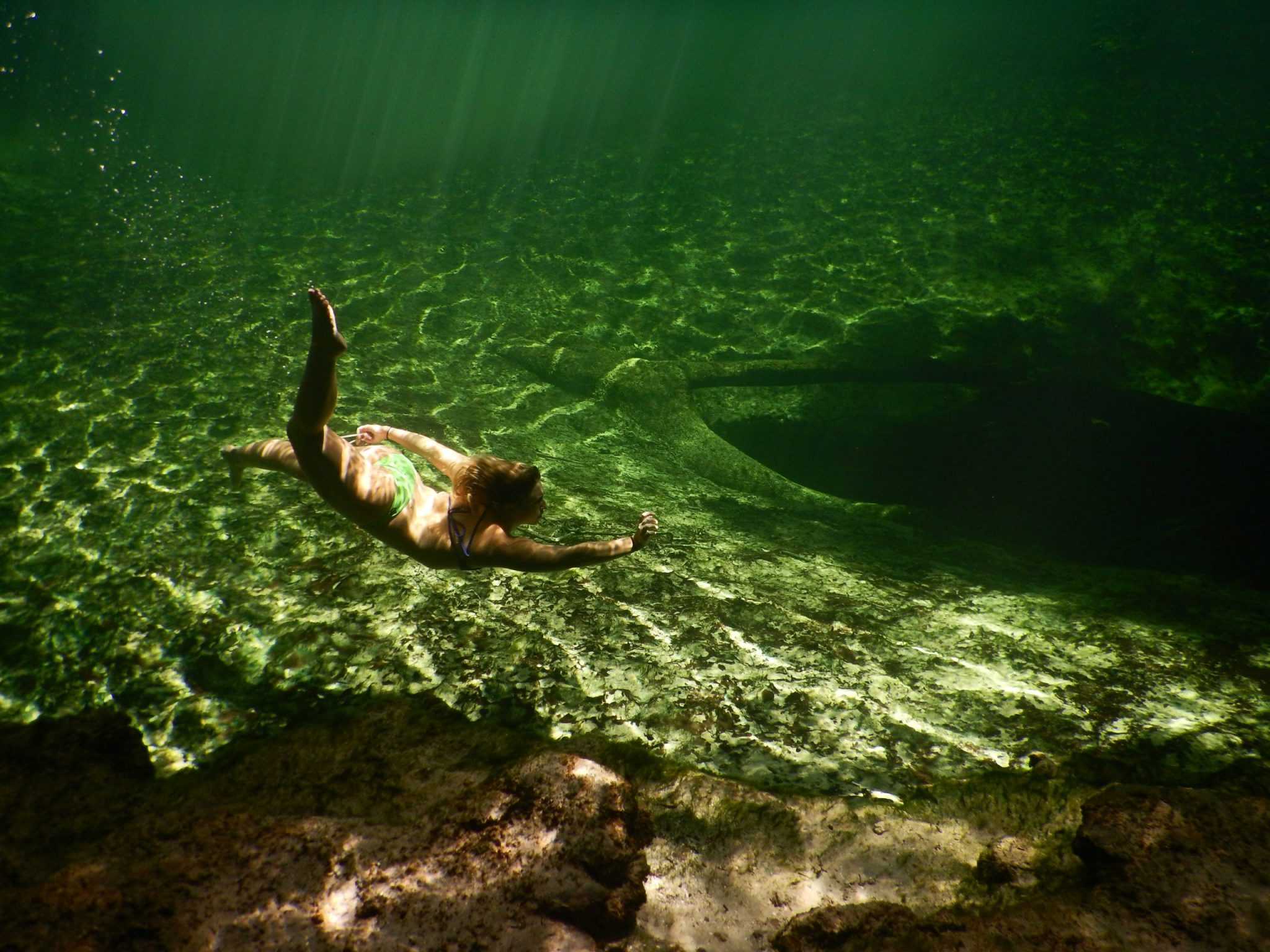 Blue Spring State Park Guide: Explore Attractions & Activities | Parks ...