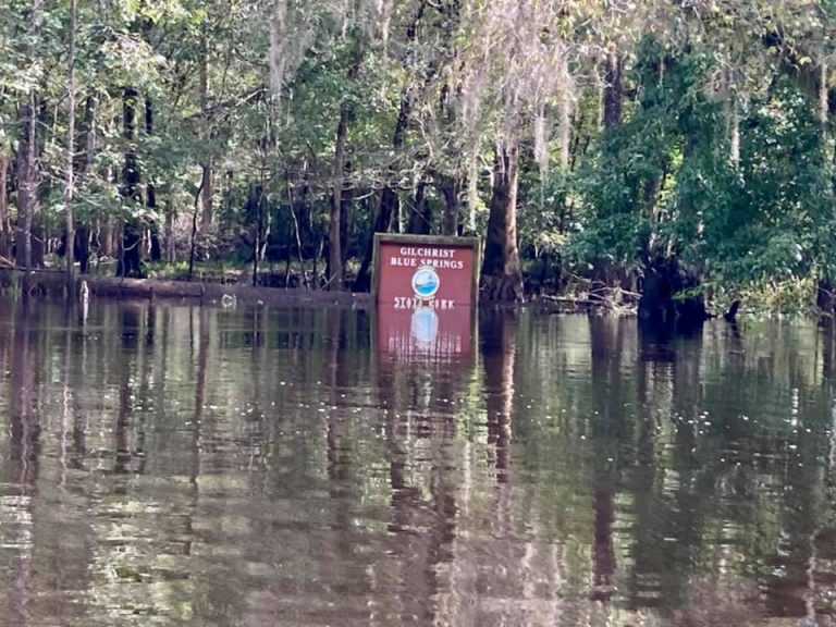History of Gilchrist Blue Springs State Park - Parks Guidance