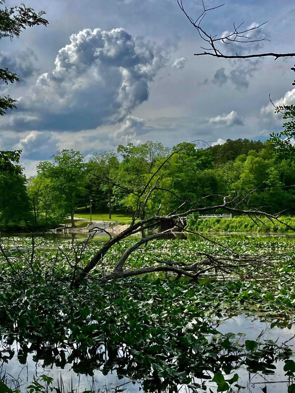 Blue Rock State Park: Discover Trails, Wildlife & Scenic Views