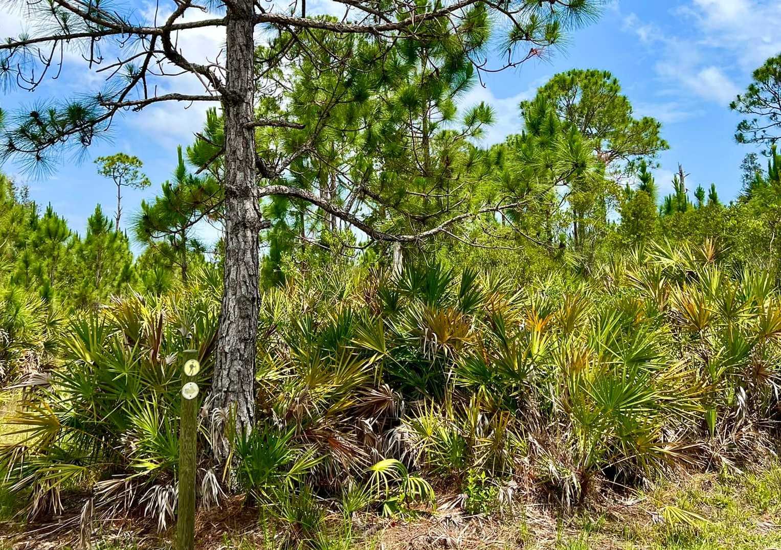 Charlotte Harbor Preserve State Park - United States