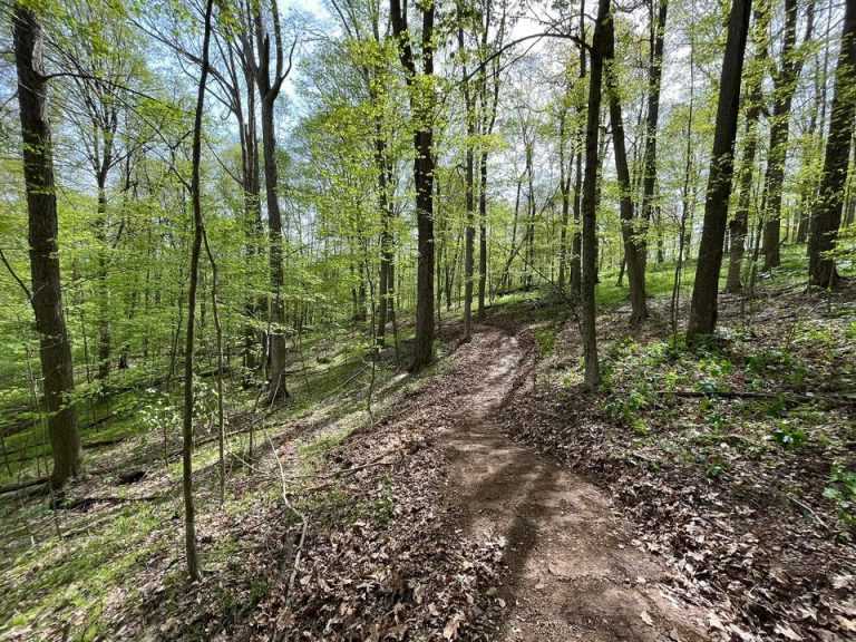 Mohican State Park - Parks Guidance