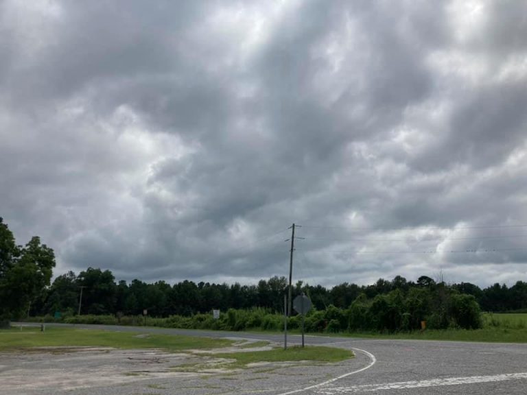 Colleton State Park - Parks Guidance