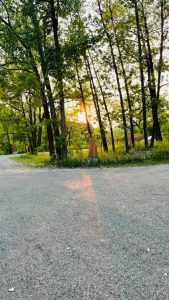 Turtle River State Park - Parks Guidance