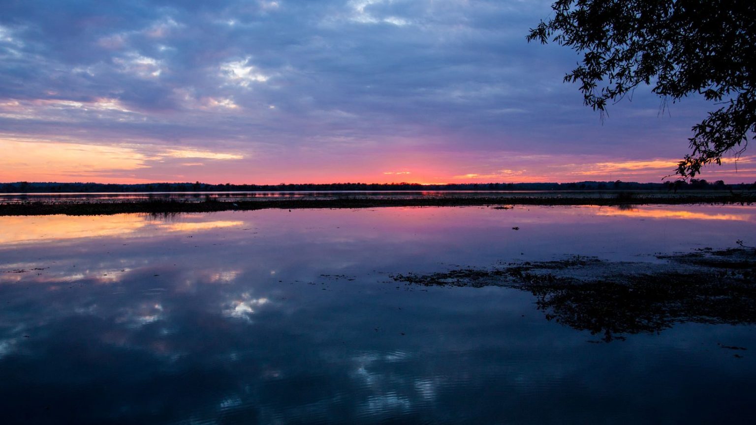 Martin Dies, Jr. State Park - Parks Guidance