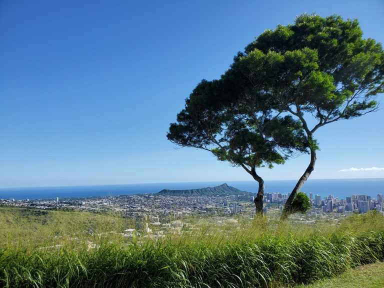 Exploring Tantalus Lookout: A Guide to the Best Views and Hikes - Parks ...