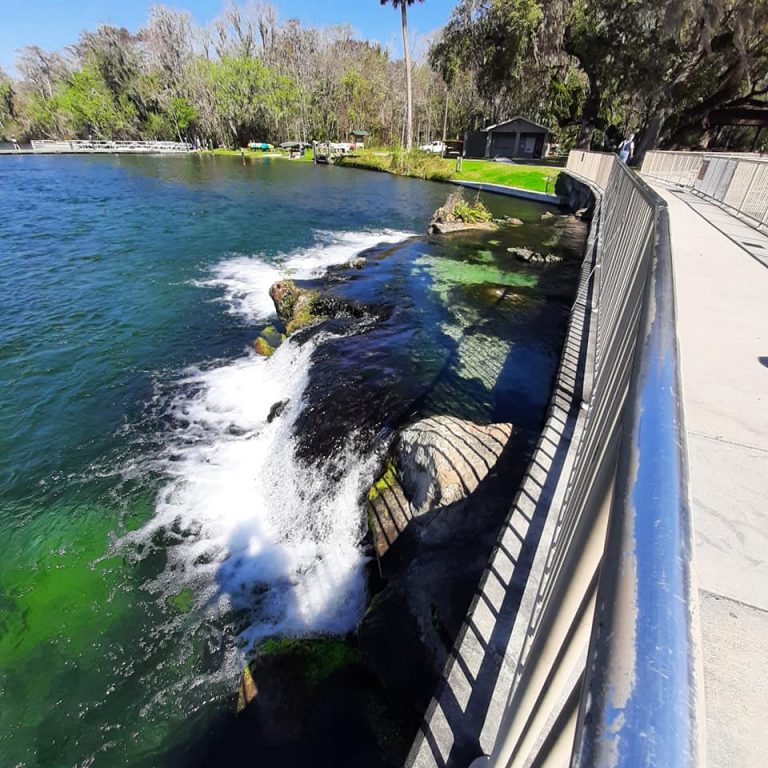 De León Springs State Park - Parks Guidance