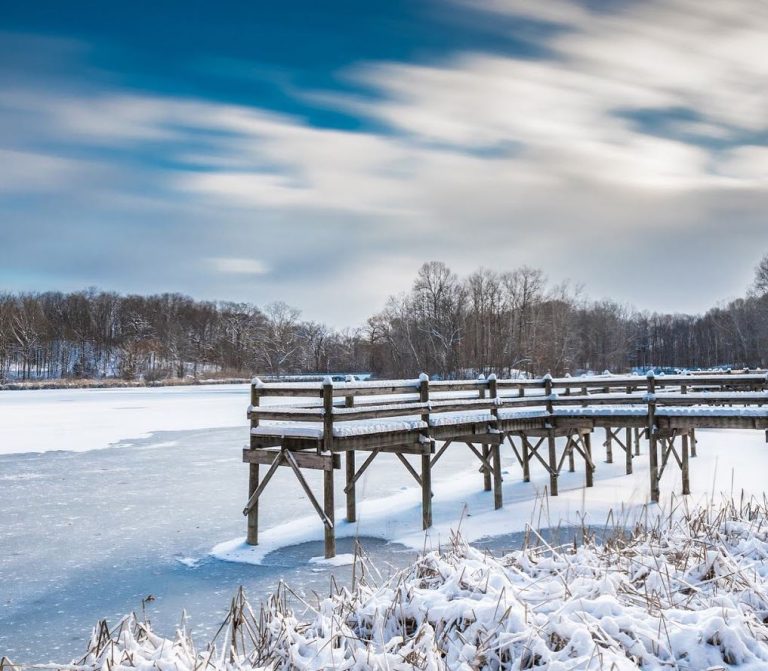 Maybury State Park - Parks Guidance
