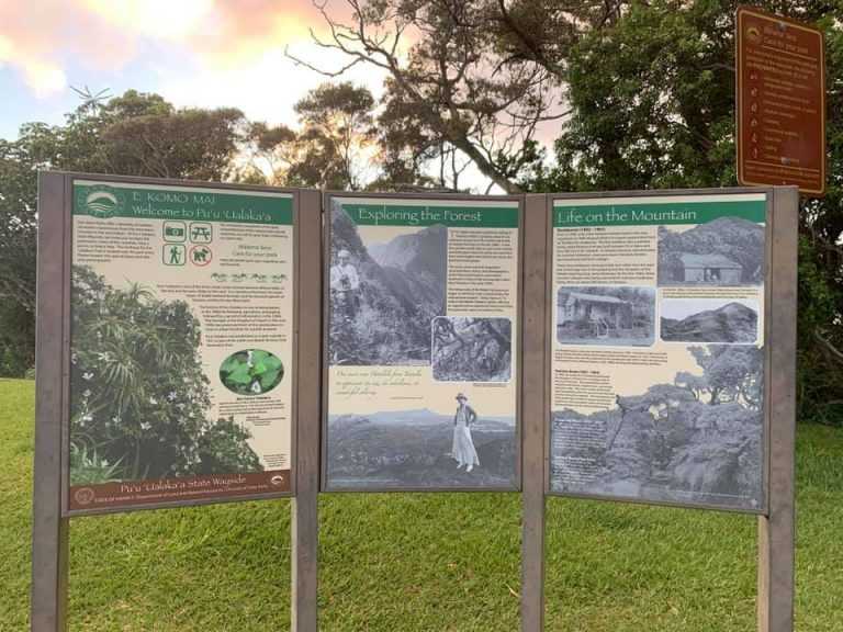 Discovering Tantalus Mountain: A Journey Through Hawaii's Stunning ...