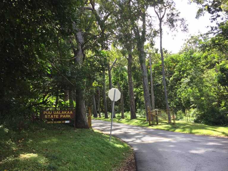 Exploring Tantalus Lookout: A Guide to the Best Views and Hikes - Parks ...