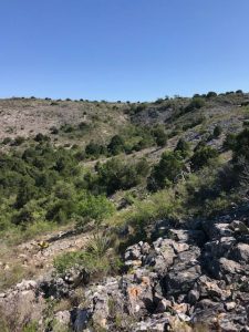 Kickapoo Cavern State Park - Parks Guidance