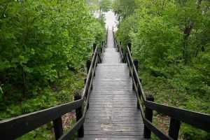 Muskallonge Lake State Park - Parks Guidance