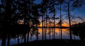 Hamilton Branch State Park - Parks Guidance