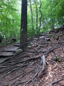 Cold Spring Harbor State Park - Parks Guidance