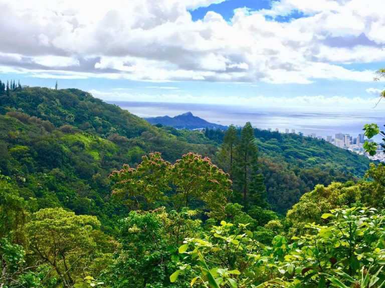 Discovering Tantalus Mountain: A Journey Through Hawaii's Stunning ...