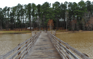 Chester State Park - Parks Guidance