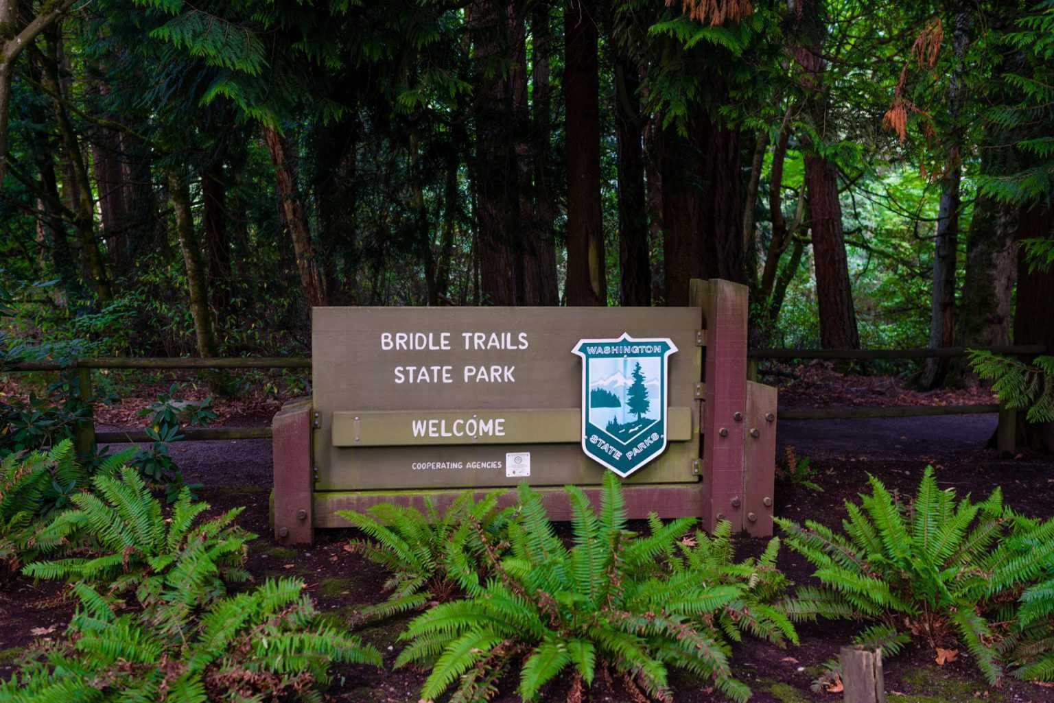 Bridle Trails State Park - Parks Guidance