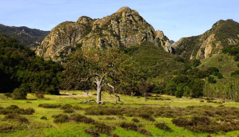 Malibu Creek State Park - Parks Guidance