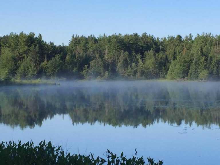 Higley Flow State Park - Parks Guidance