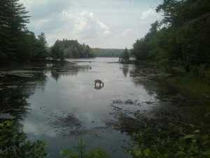 Higley Flow State Park - Parks Guidance