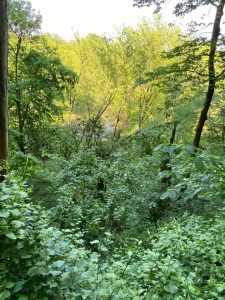 Tower Hill State Park - Parks Guidance