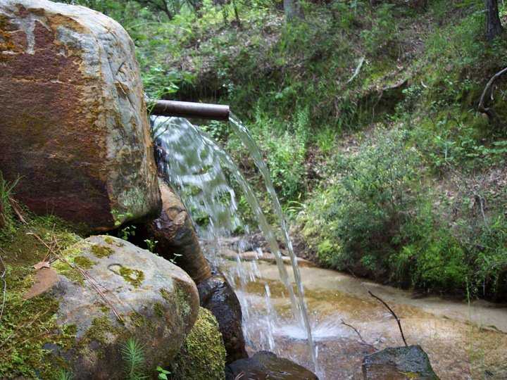 Splash into Summer: The Ultimate Guide to Swimming Holes in Texas