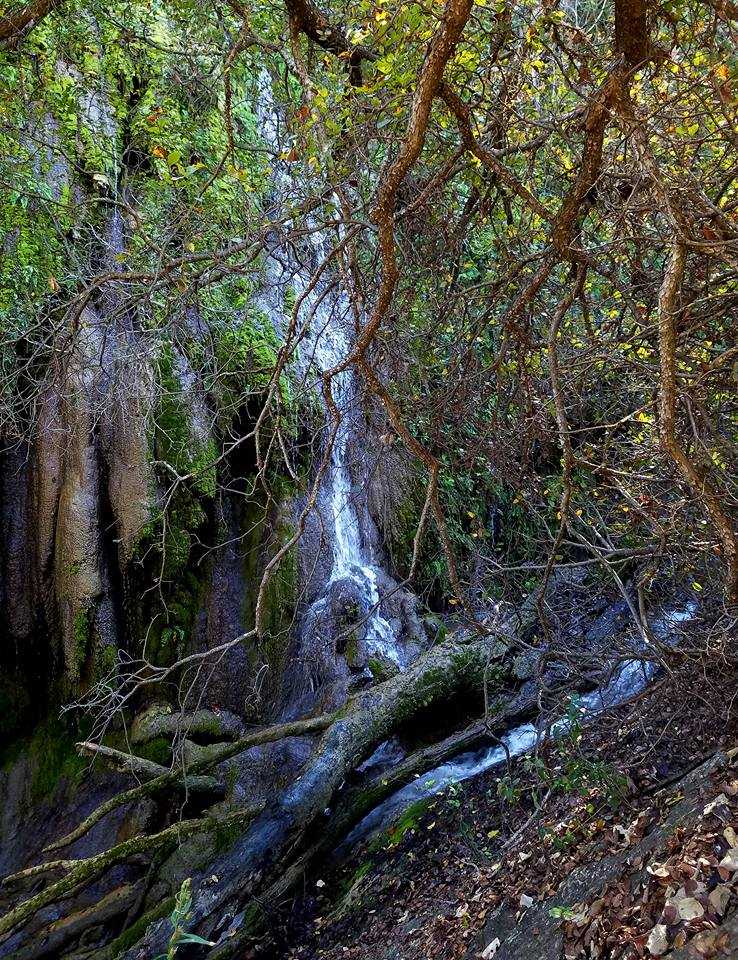 Splash into Summer: The Ultimate Guide to Swimming Holes in Texas