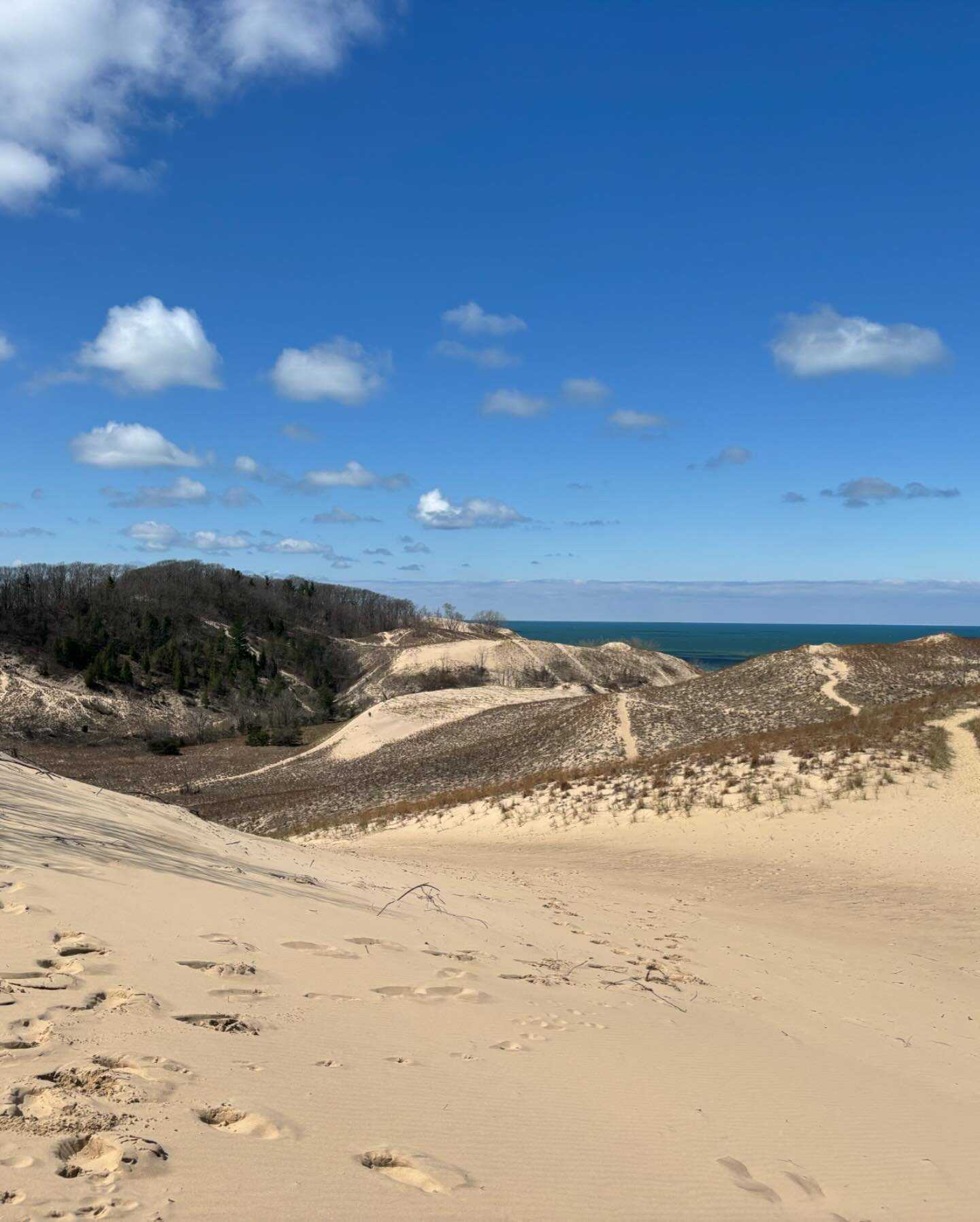 Ultimate Guide to Camping at Warren Dunes State Park, Michigan - Parks Guidance
