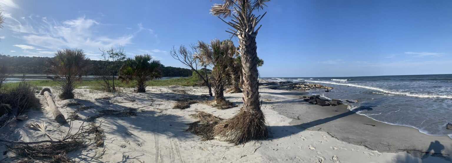 Discover the Hidden Gems of Hunting Island State Park: A Nature Lover's ...