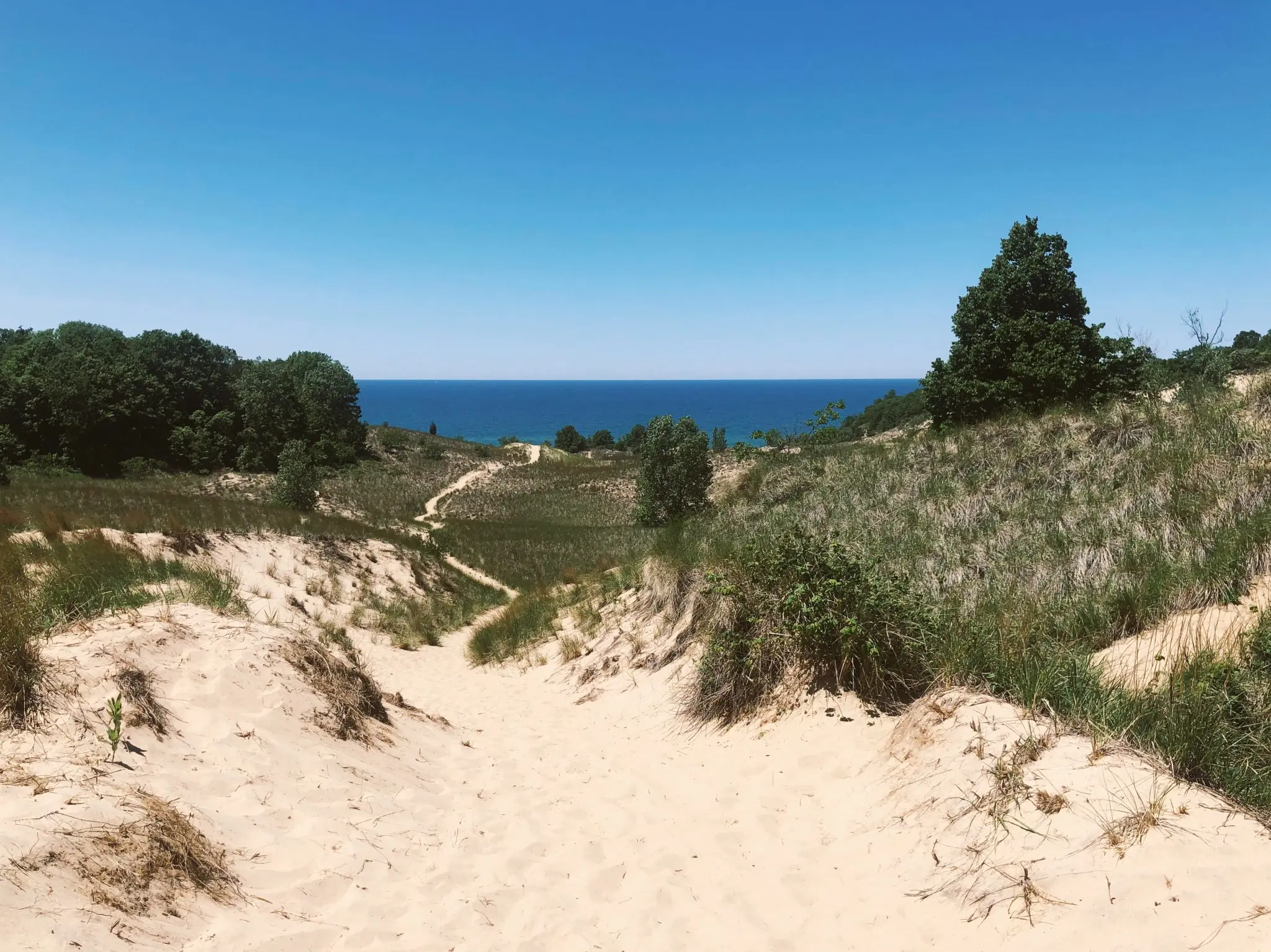 Warren Dunes State Park Michigan FAQs | Camping, Trails, Fees & Tips